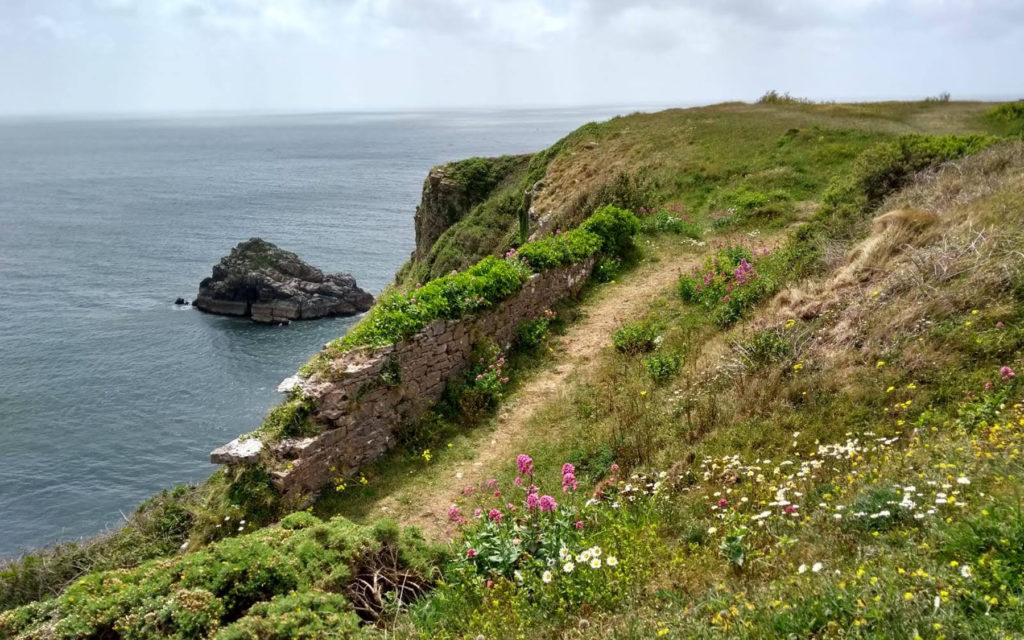 Walking in Torquay, Paignton & Brixham – Torbay Coast & Countryside Trust