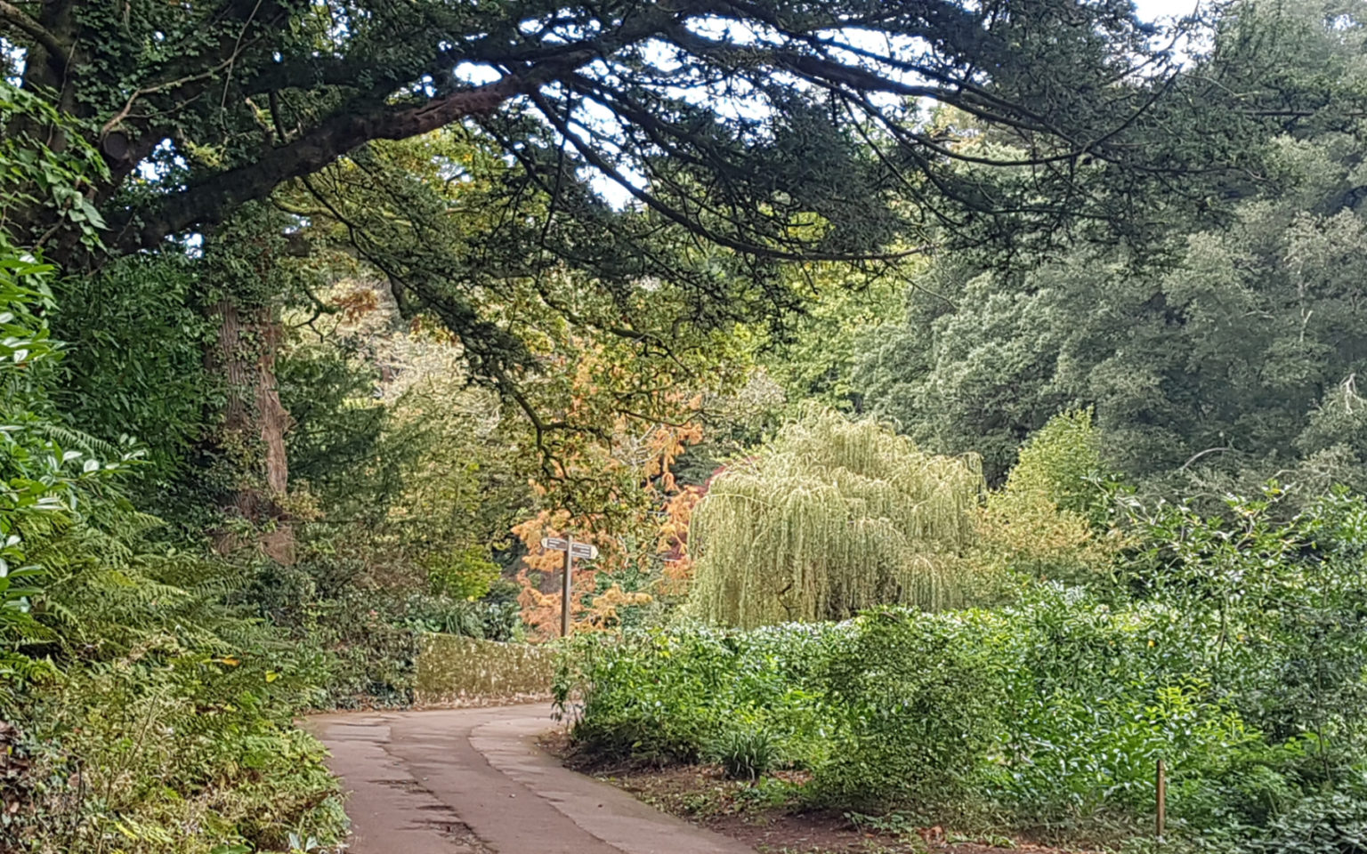 Walking in Torquay, Paignton & Brixham – Torbay Coast & Countryside Trust