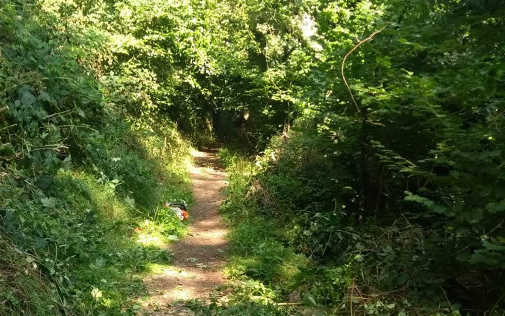 Walking in Torquay, Paignton & Brixham – Torbay Coast & Countryside Trust