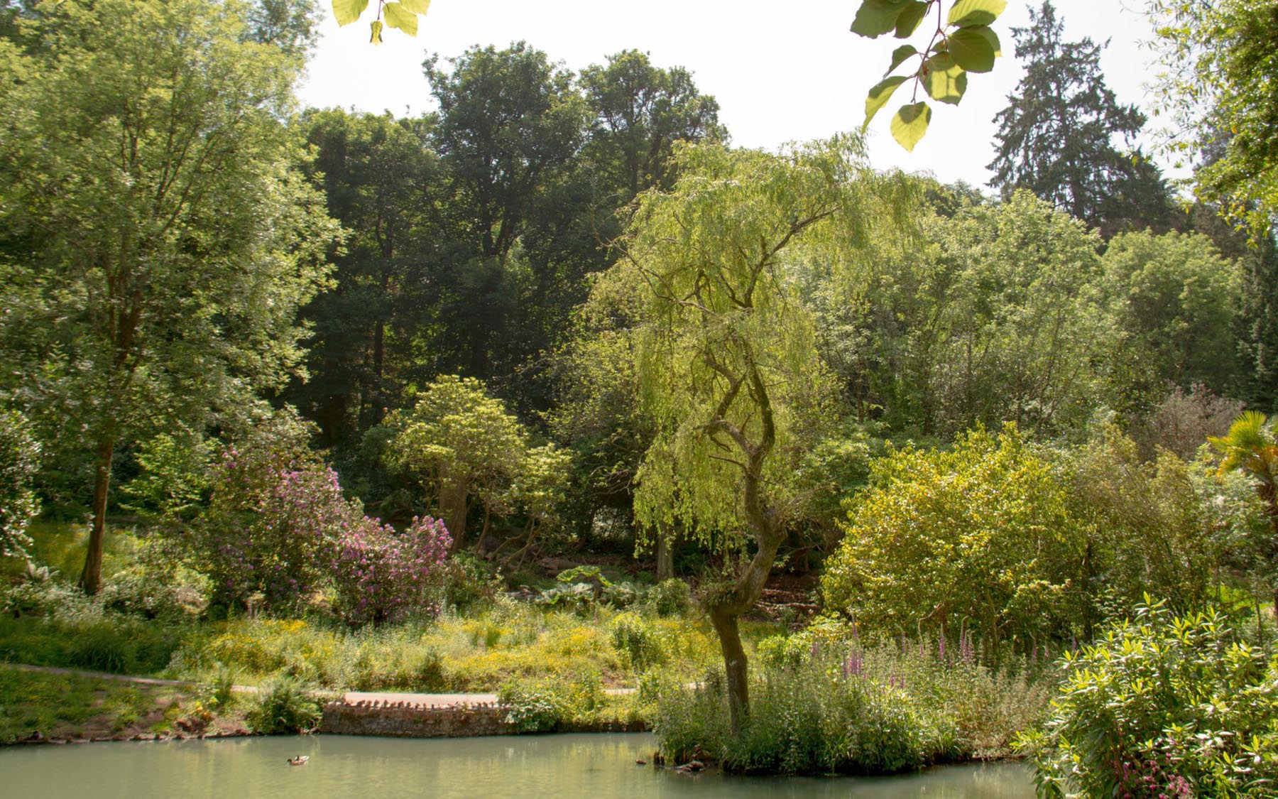 School Visits - Education – Torbay Coast & Countryside Trust