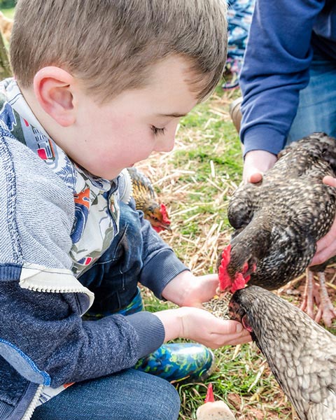 Experiences Archive – Torbay Coast & Countryside Trust