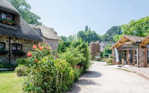 Cockington Village & Country Park – Torbay Coast & Countryside Trust