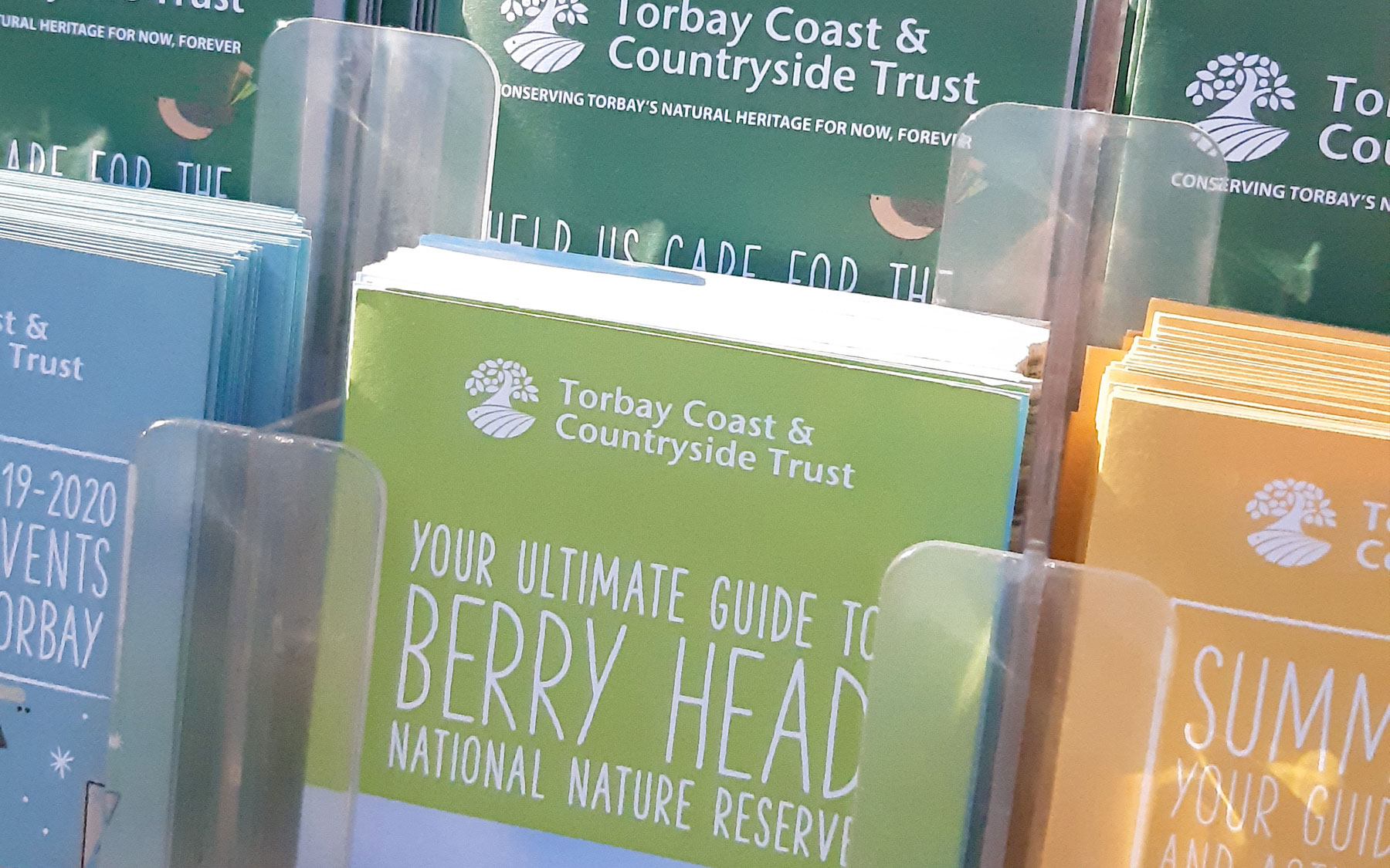 What we do – Torbay Coast & Countryside Trust