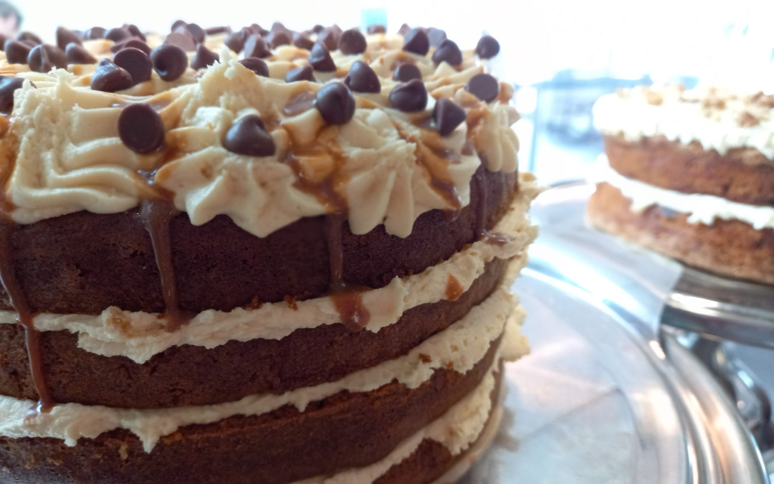 Occombe Farm - Farm Attraction Devon – Torbay Coast & Countryside Trust