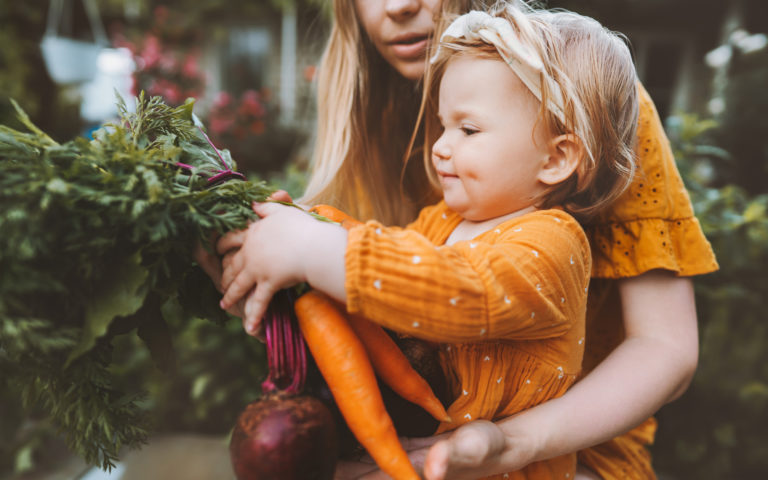 Occombe Farm - Farm Attraction Devon – Torbay Coast & Countryside Trust