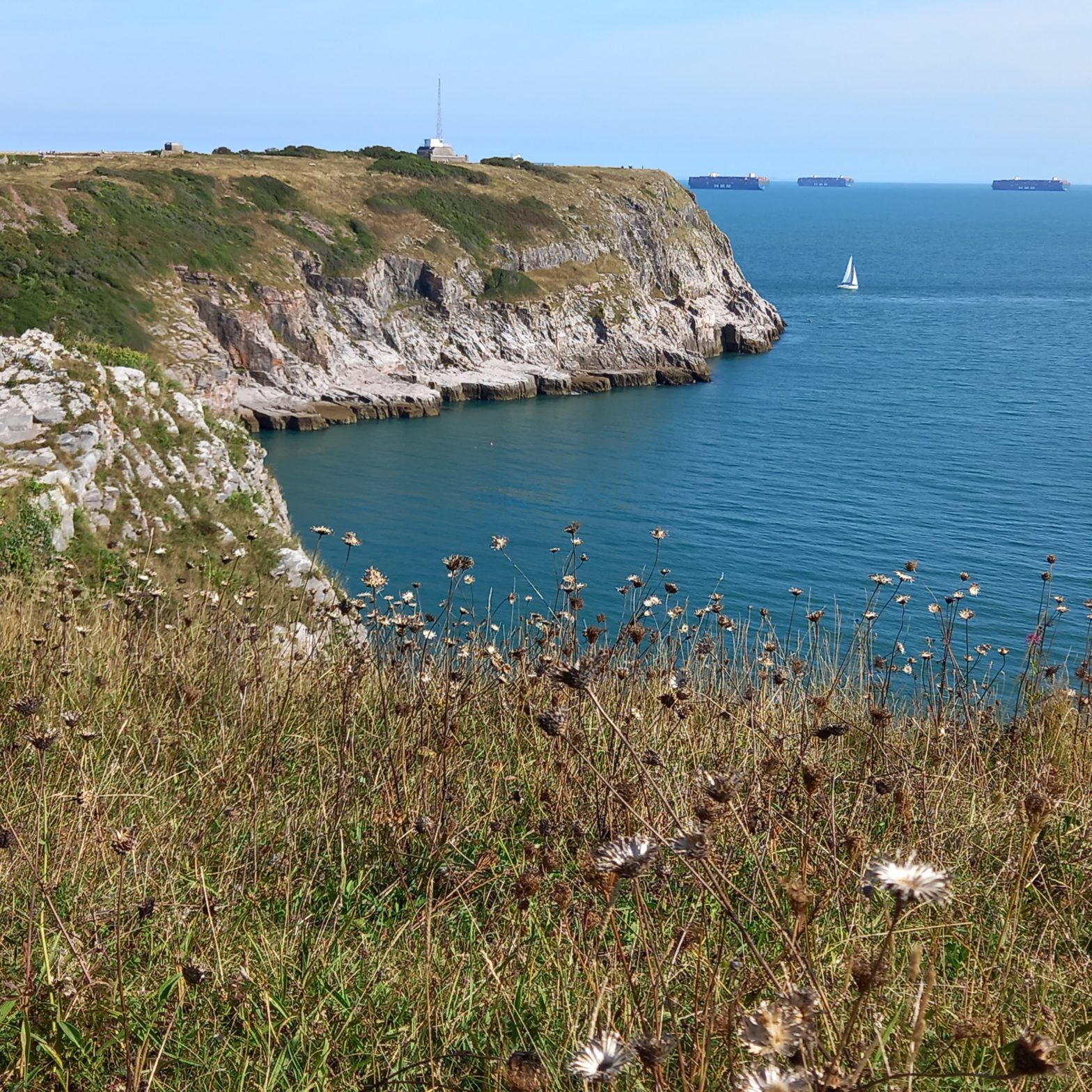 Berry Head – Torbay Coast & Countryside Trust