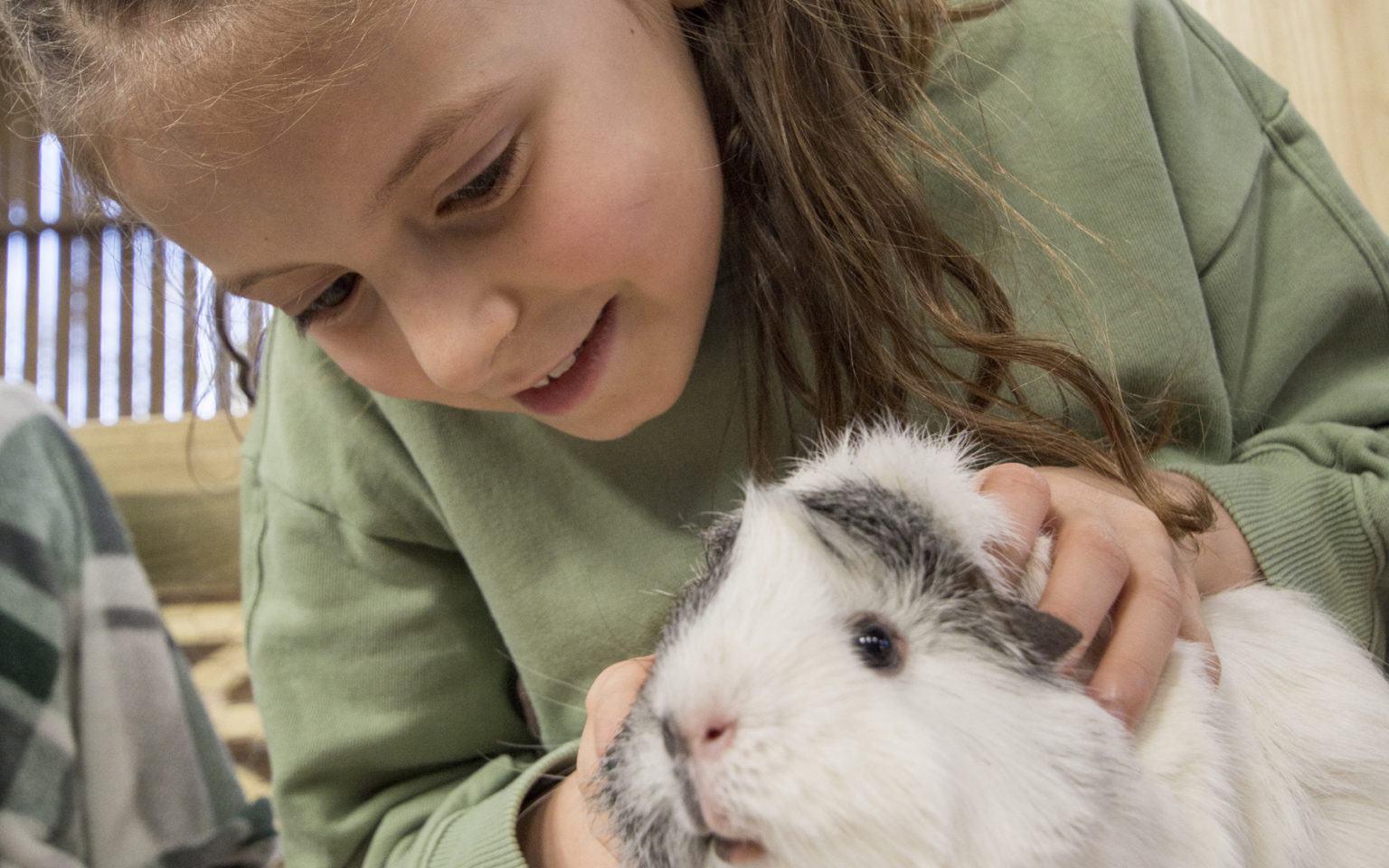 Occombe Farm - Farm Attraction Devon – Torbay Coast & Countryside Trust