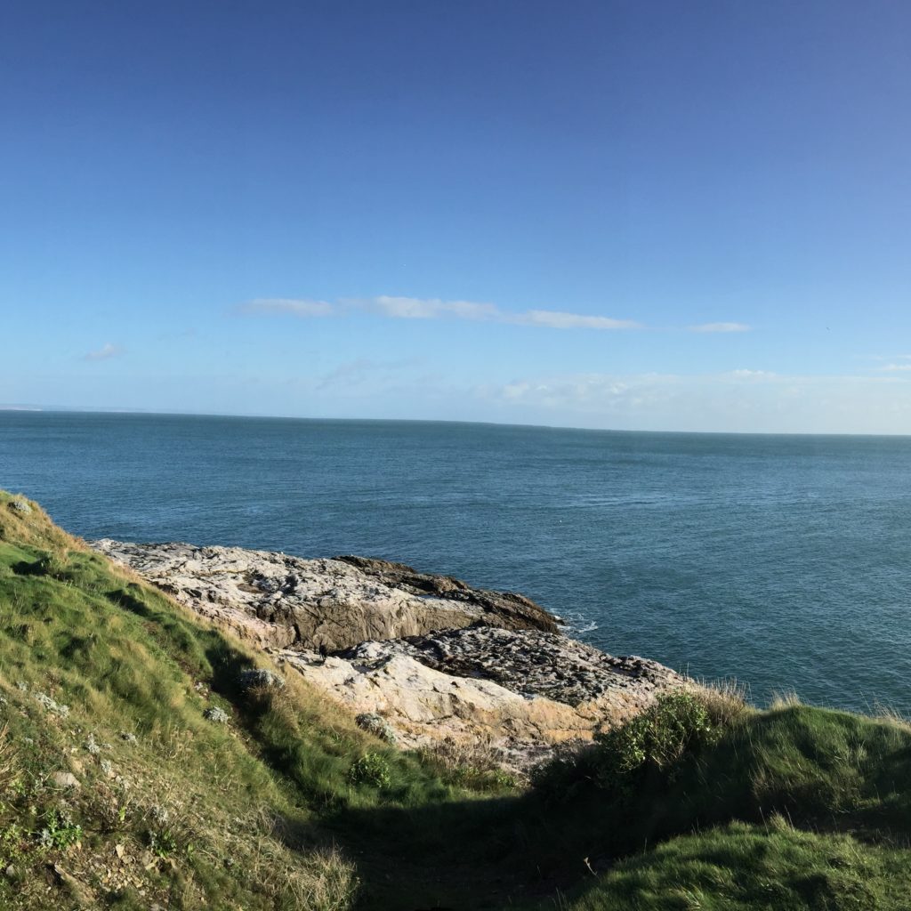 Upcoming Events – Torbay Coast & Countryside Trust