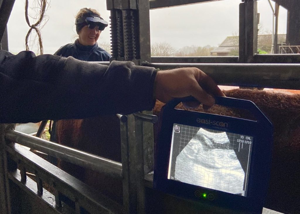 It’s time for pregnancy diagnosing! – Torbay Coast & Countryside Trust