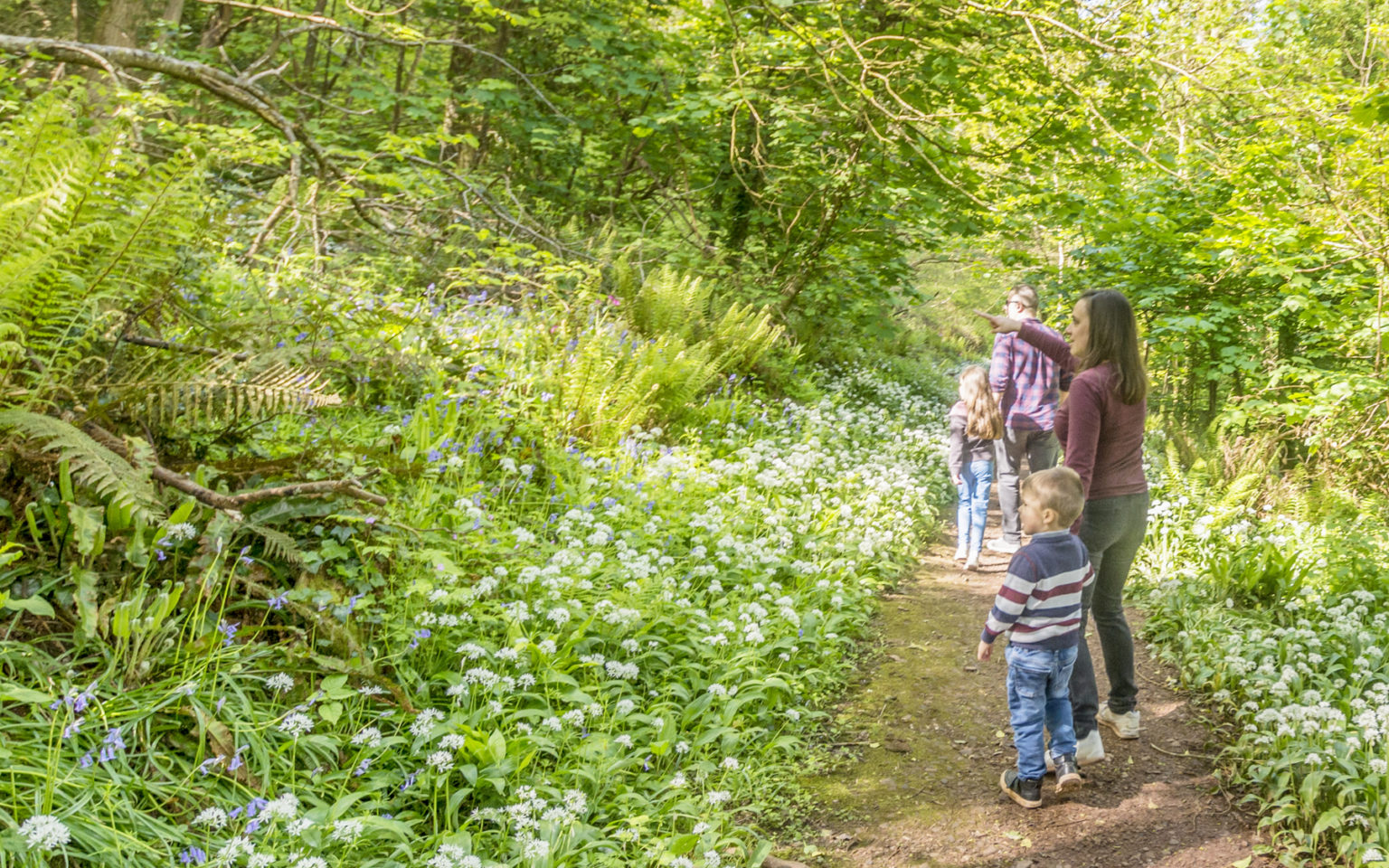 our home education programme – Torbay Coast & Countryside Trust