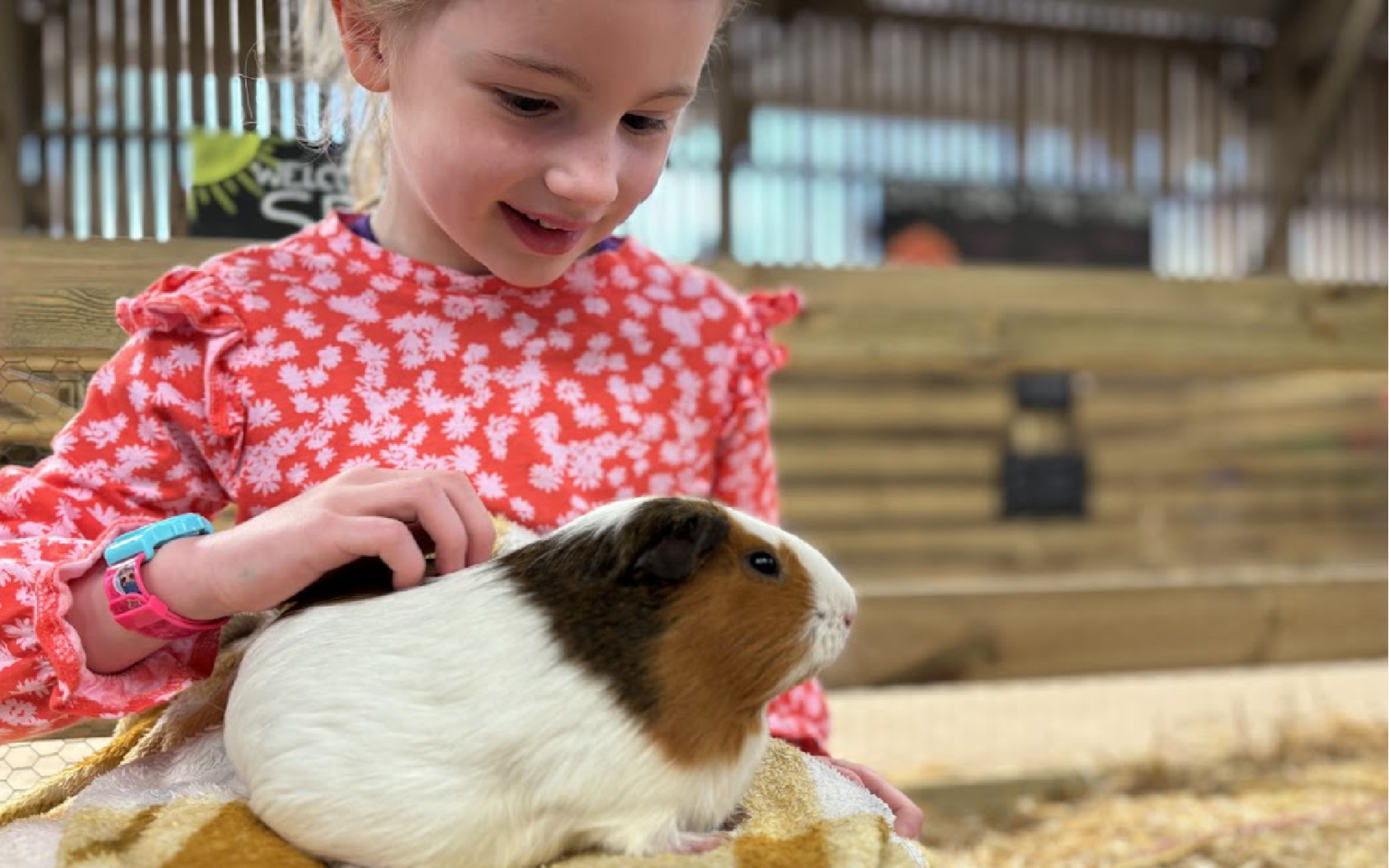 Occombe Farm - Farm Attraction Devon – Torbay Coast & Countryside Trust